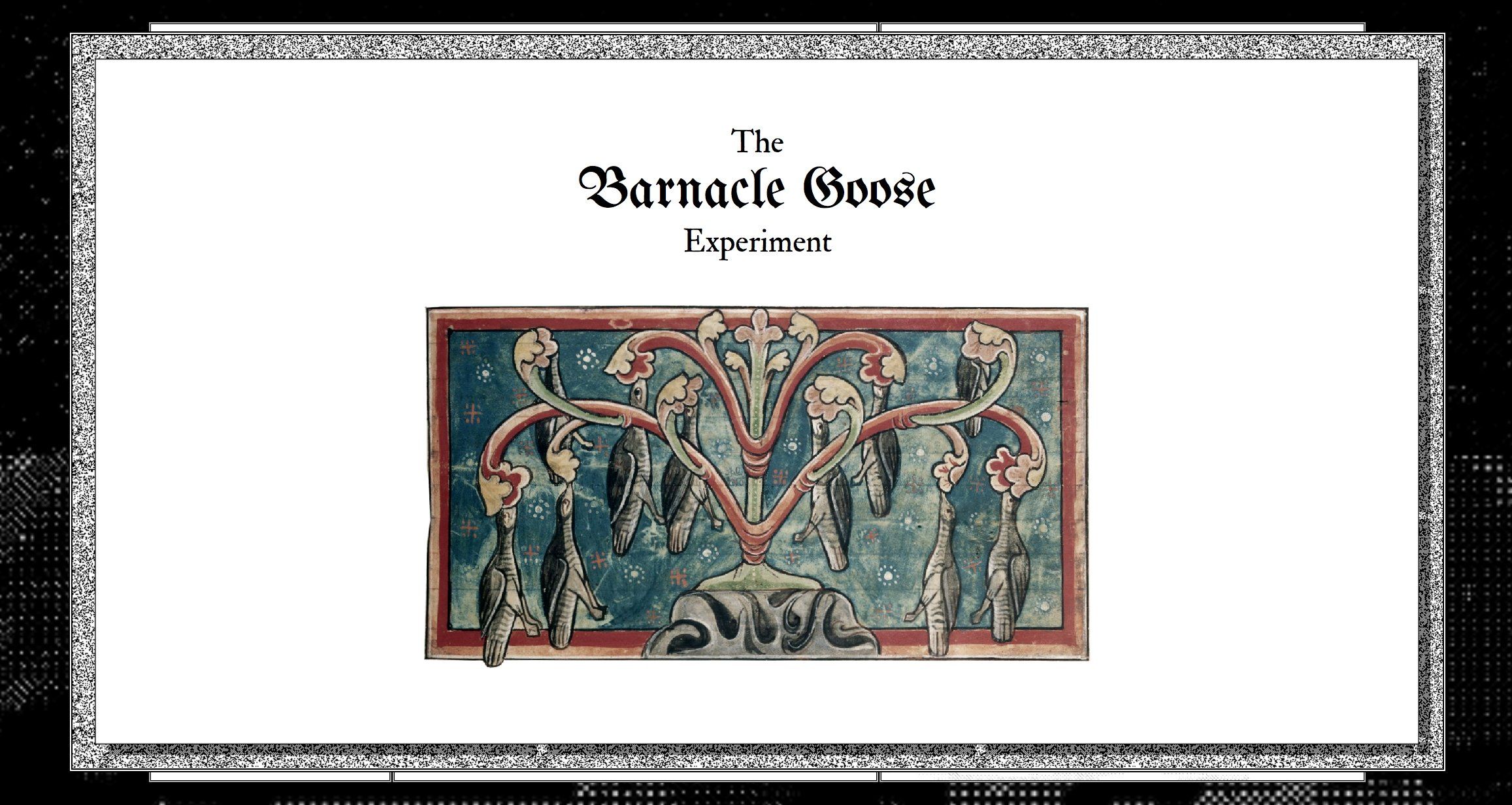 The Barnacle Goose Experiment | Phoenix Leicester | Art