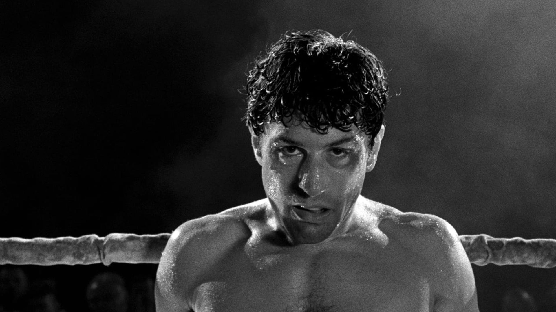 Raging Bull | Phoenix Leicester | Tickets & Times