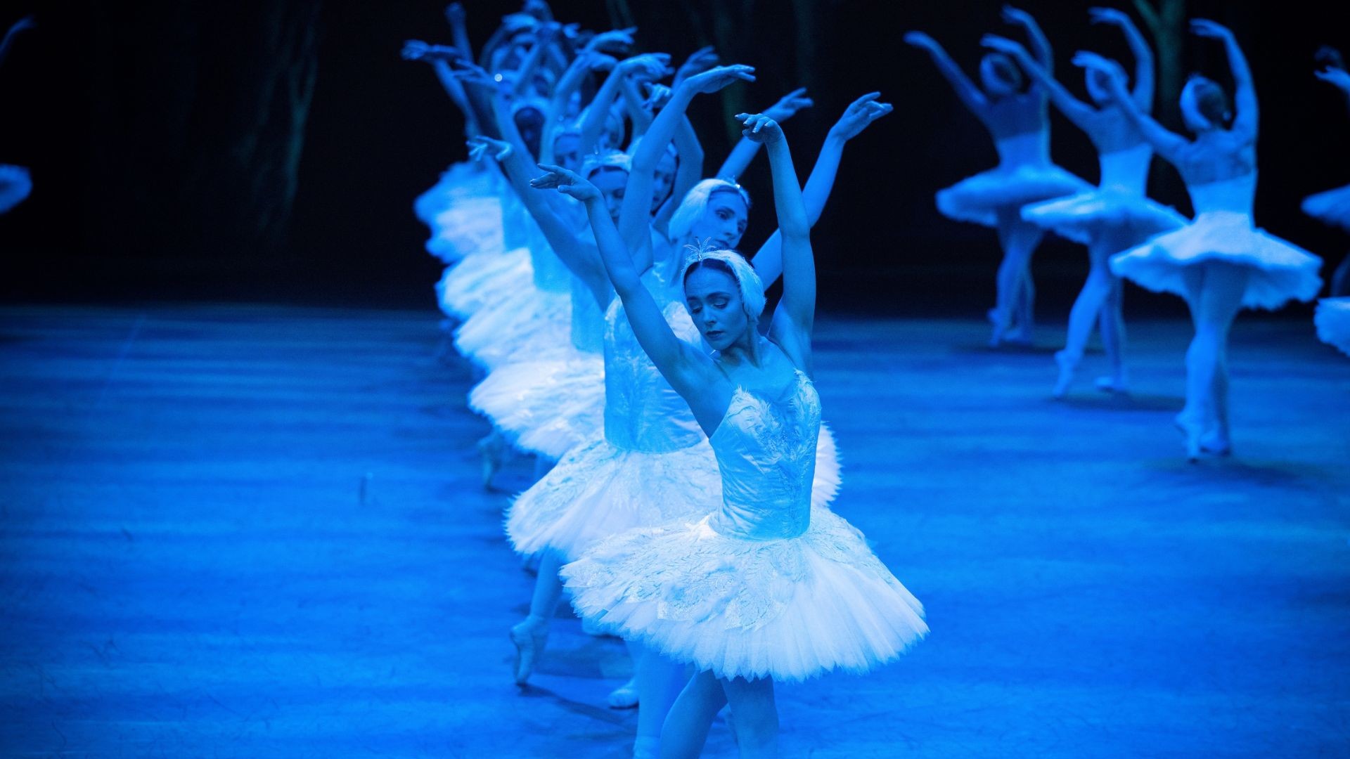 English National Ballet: Swan Lake | Phoenix Leicester | Tickets